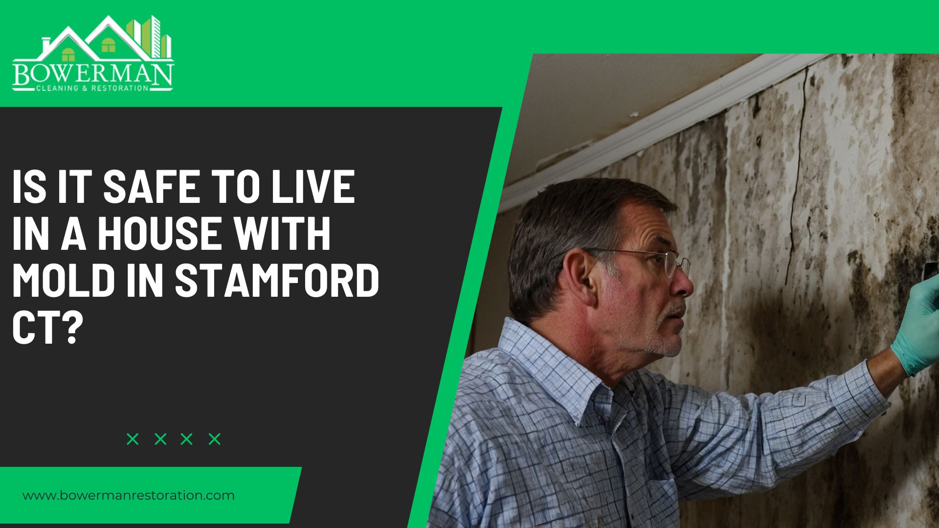 Is It Safe to Live in a House with Mold in Stamford CT? - Bowerman ...
