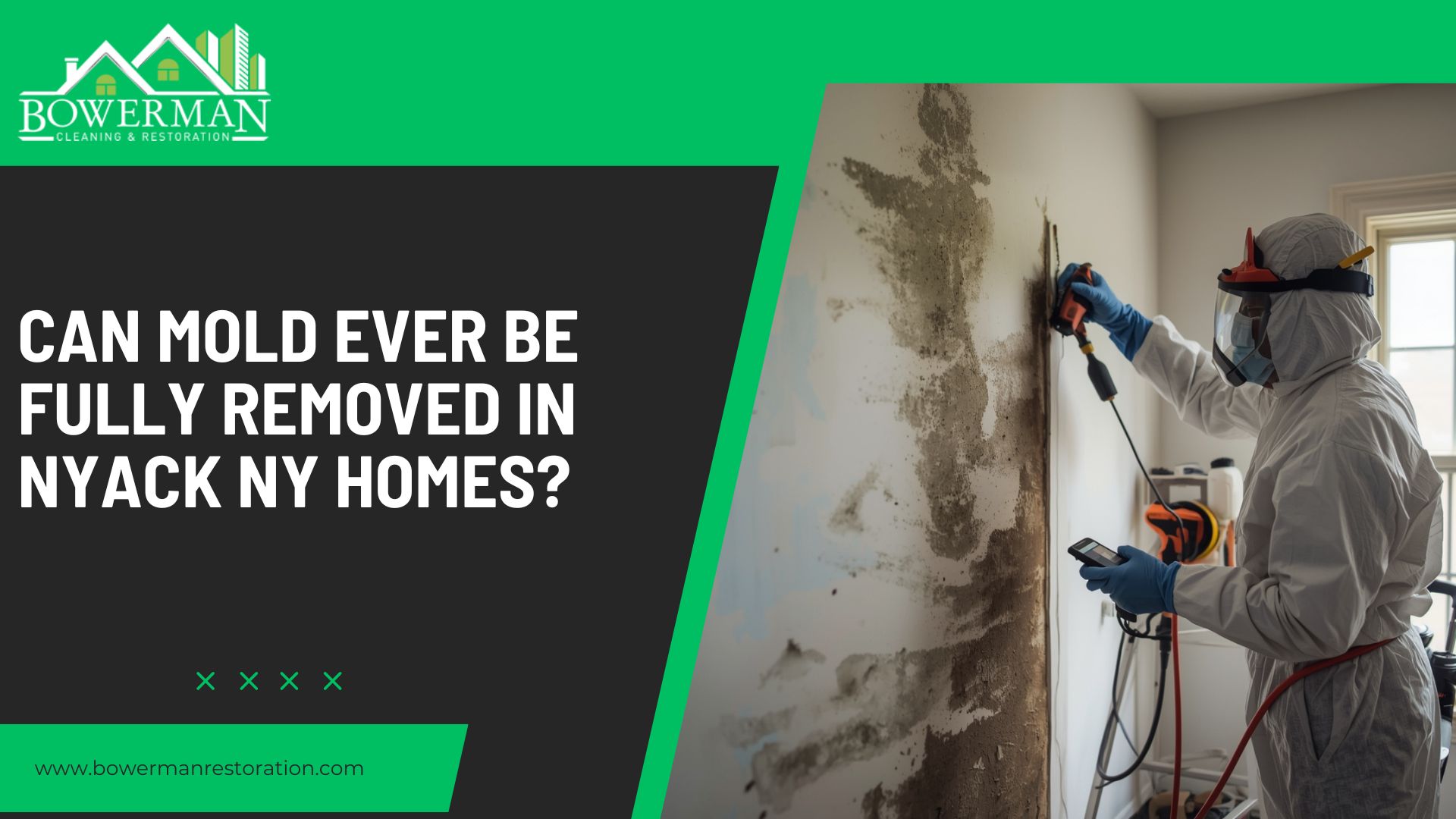 Can Mold Ever Be Fully Removed in Nyack NY Homes?