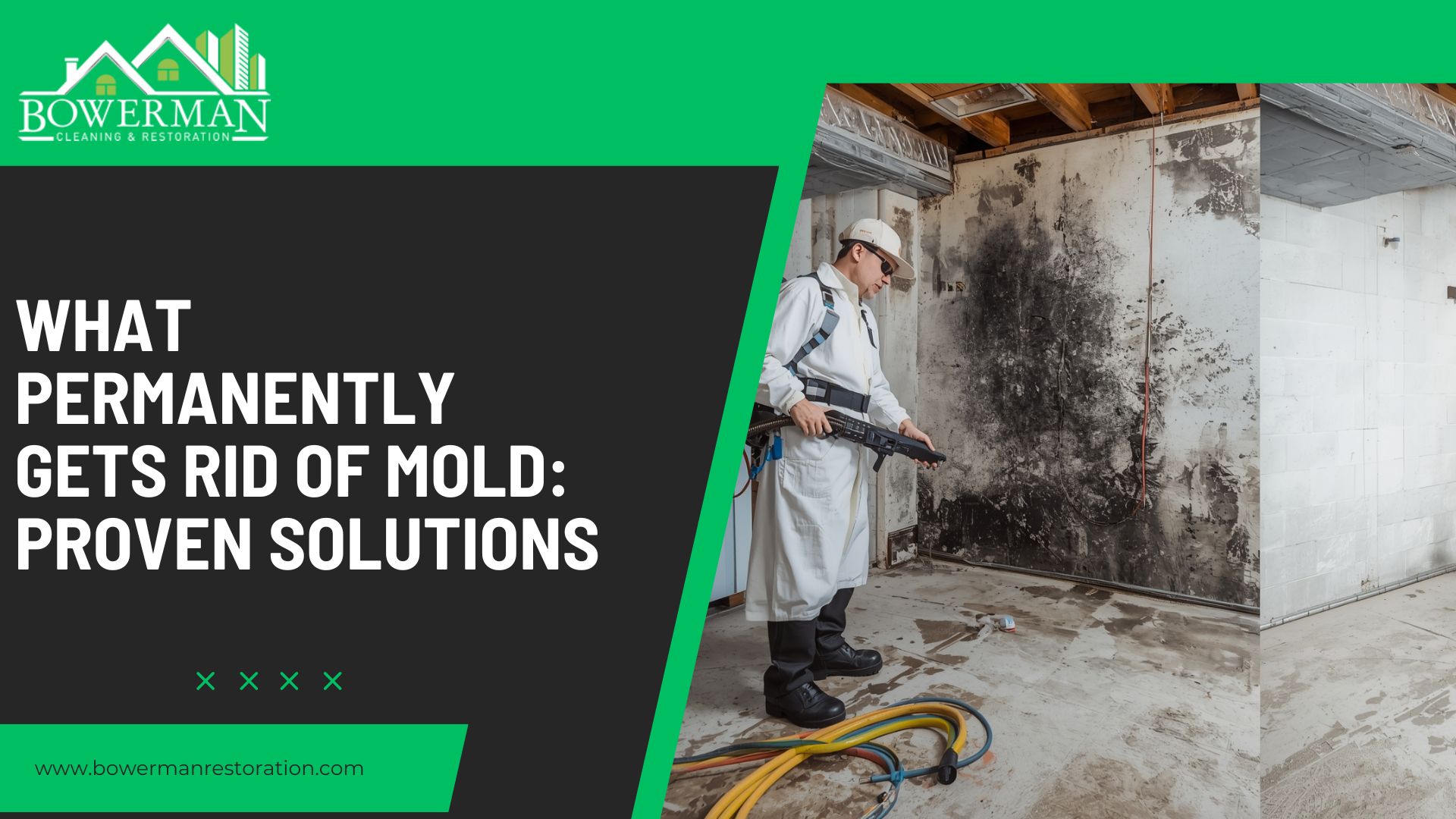 What Permanently Gets Rid of Mold: Proven Solutions