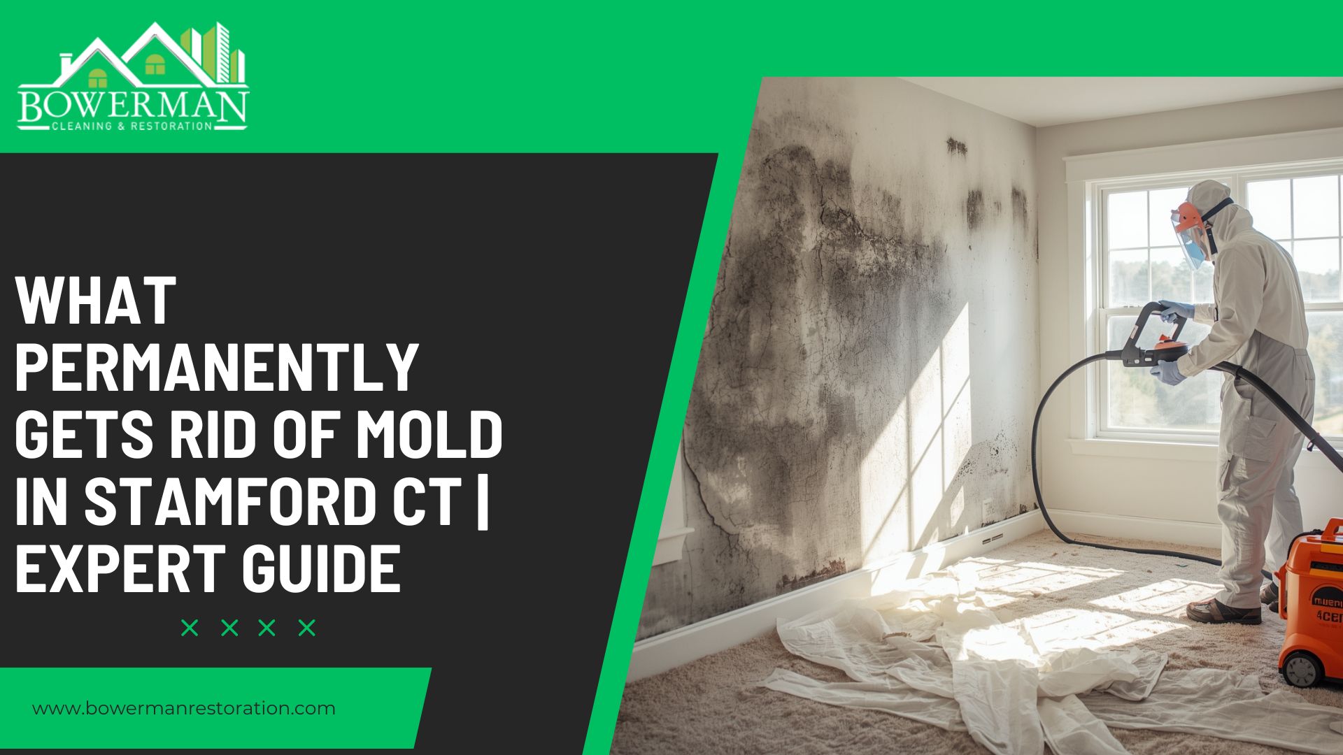 What Permanently Gets Rid of Mold in Stamford CT | Expert Guide