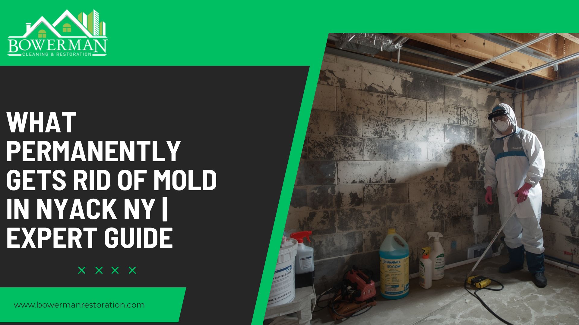What Permanently Gets Rid of Mold in Nyack NY | Expert Guide