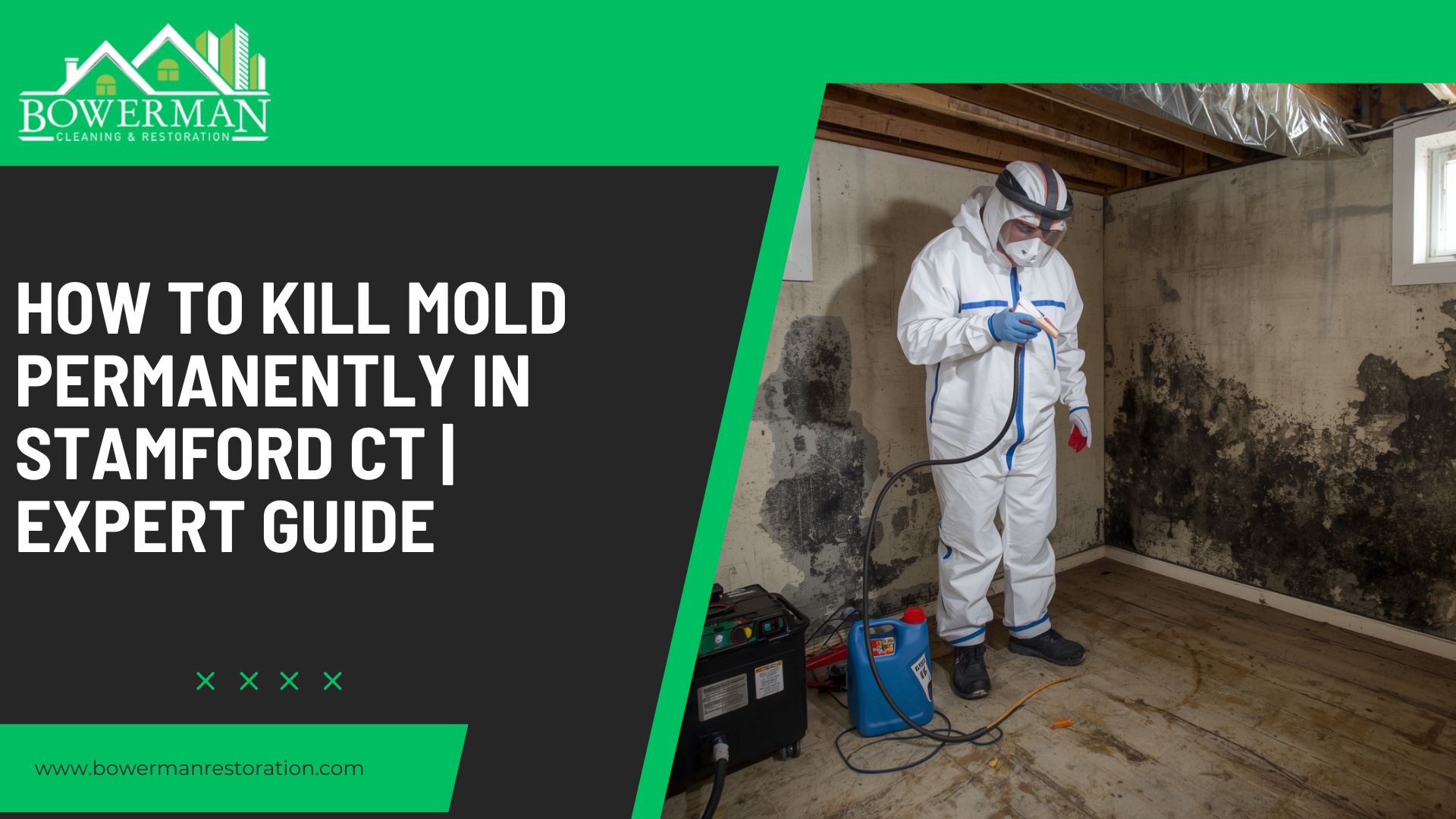How to Kill Mold Permanently in Stamford CT | Expert Guide